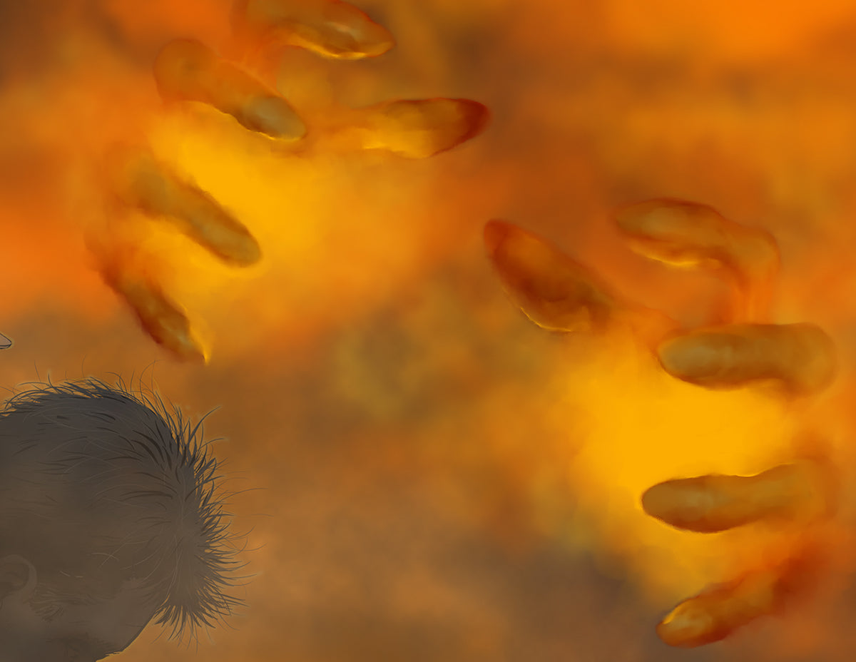 DEVIL'S CHASE – Paul Combs - Studio 7