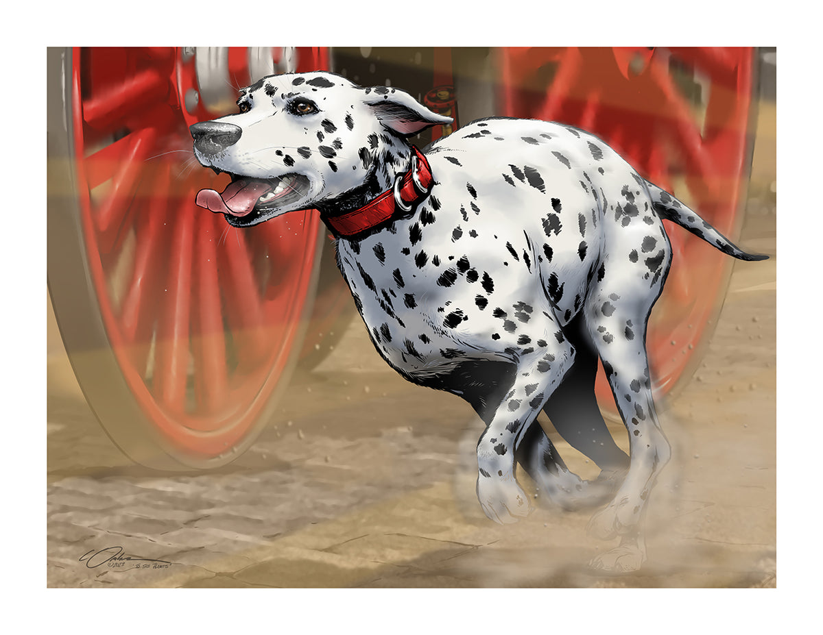 Dalmatian Collection – Paul Combs - Studio 7